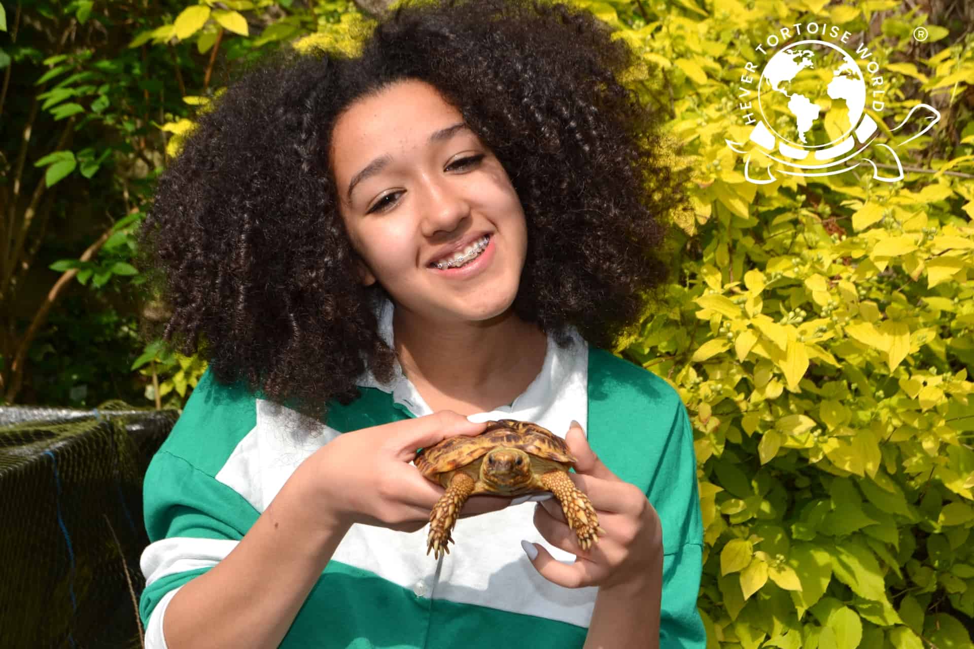 MOBILE TORTOISE PARTIES | TORTOISE EVENTS LONDON