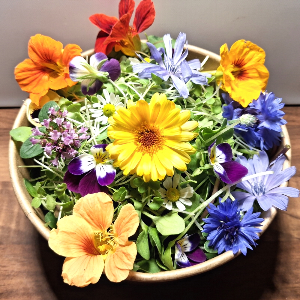 SICILIAN DELIGHT FRESH SUPER GREENS | FLOWERS FOR REPTILES - Hever ...